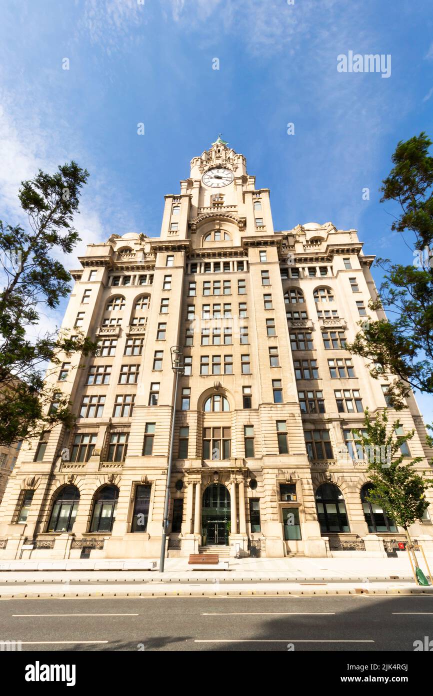 looking up at the royal liver building on the liverpool waterfront ...