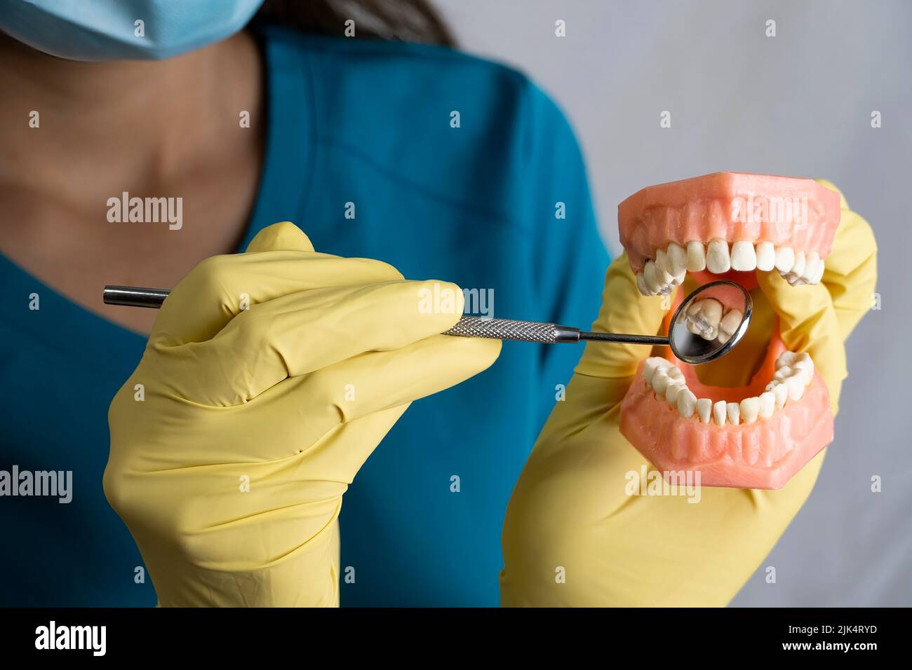The woman dentist is holding dentures in his hands and instruments ...
