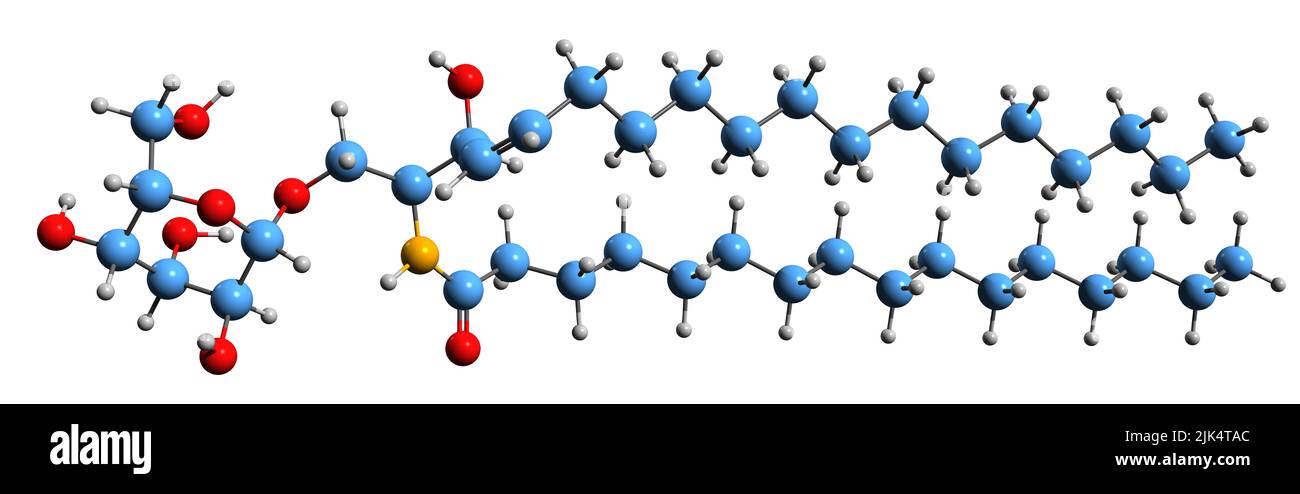 Cerebroside Structure