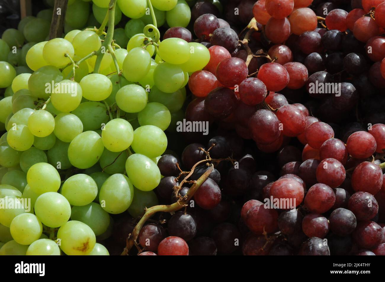 Copenhagen/Denmark/.30 July 2022/.Grapes fruit display for sale at ...