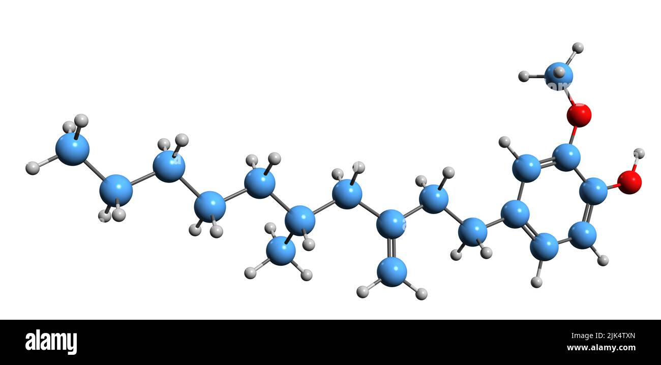 3D image of Gingerol skeletal formula - molecular chemical structure of ...