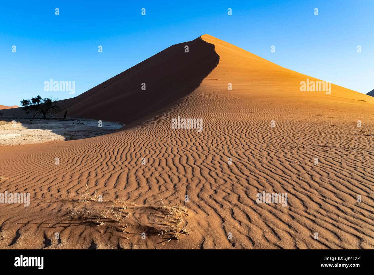 Namibia, the Namib desert, graphic landscape of yellow dunes, rain ...