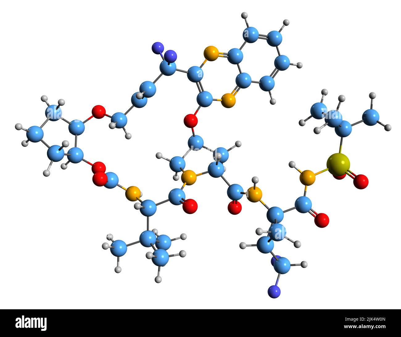 Hepatitis C Virus Diagram