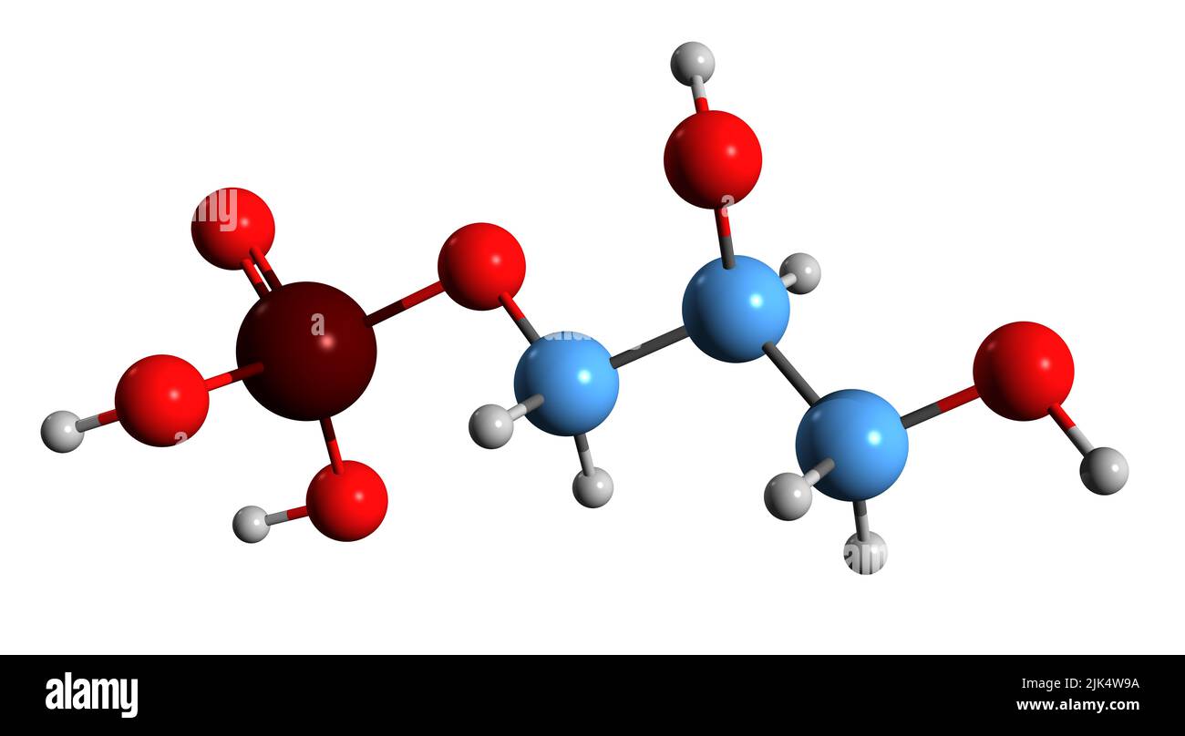Glycerol Phosphate Structure Glycerol Phosphate Stock Illustrations