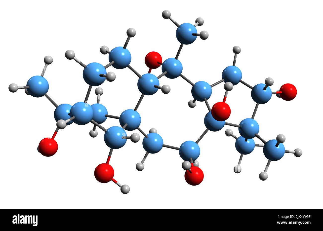 3D image of Grayanotoxin III skeletal formula - molecular chemical ...