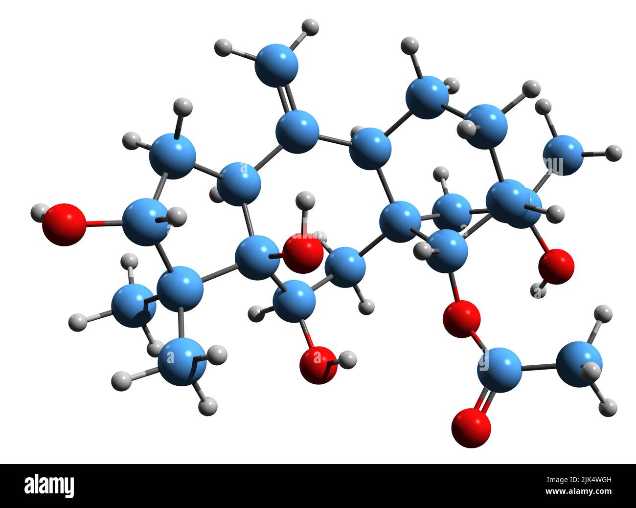3D image of Grayanotoxin IV skeletal formula - molecular chemical ...