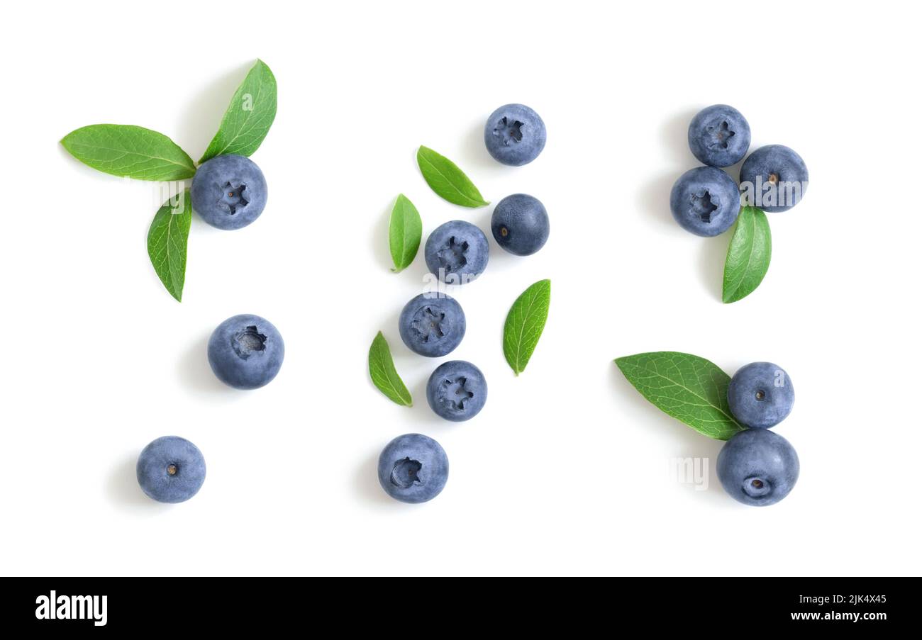 Set of blueberries isolated on a white background. Blueberry berries ...