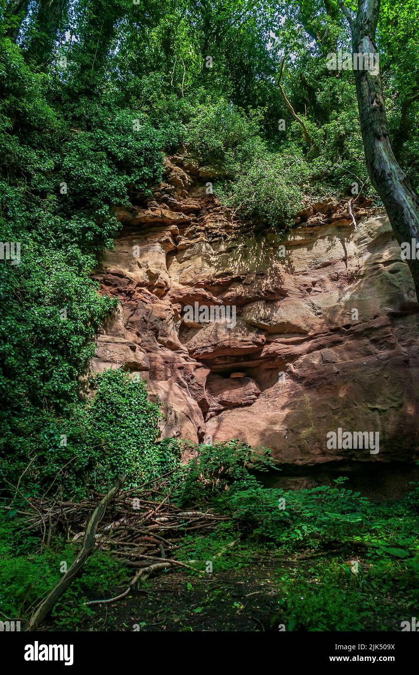 Solution cavities hi-res stock photography and images - Alamy