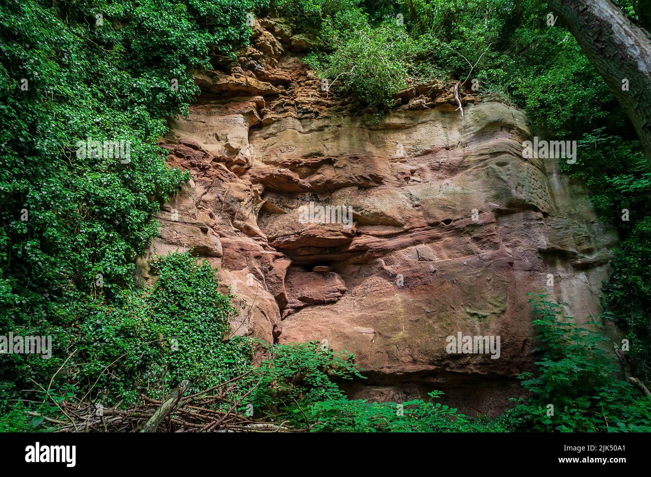 Sandstone cliff with solution cavities, stained pink from iron deposits ...
