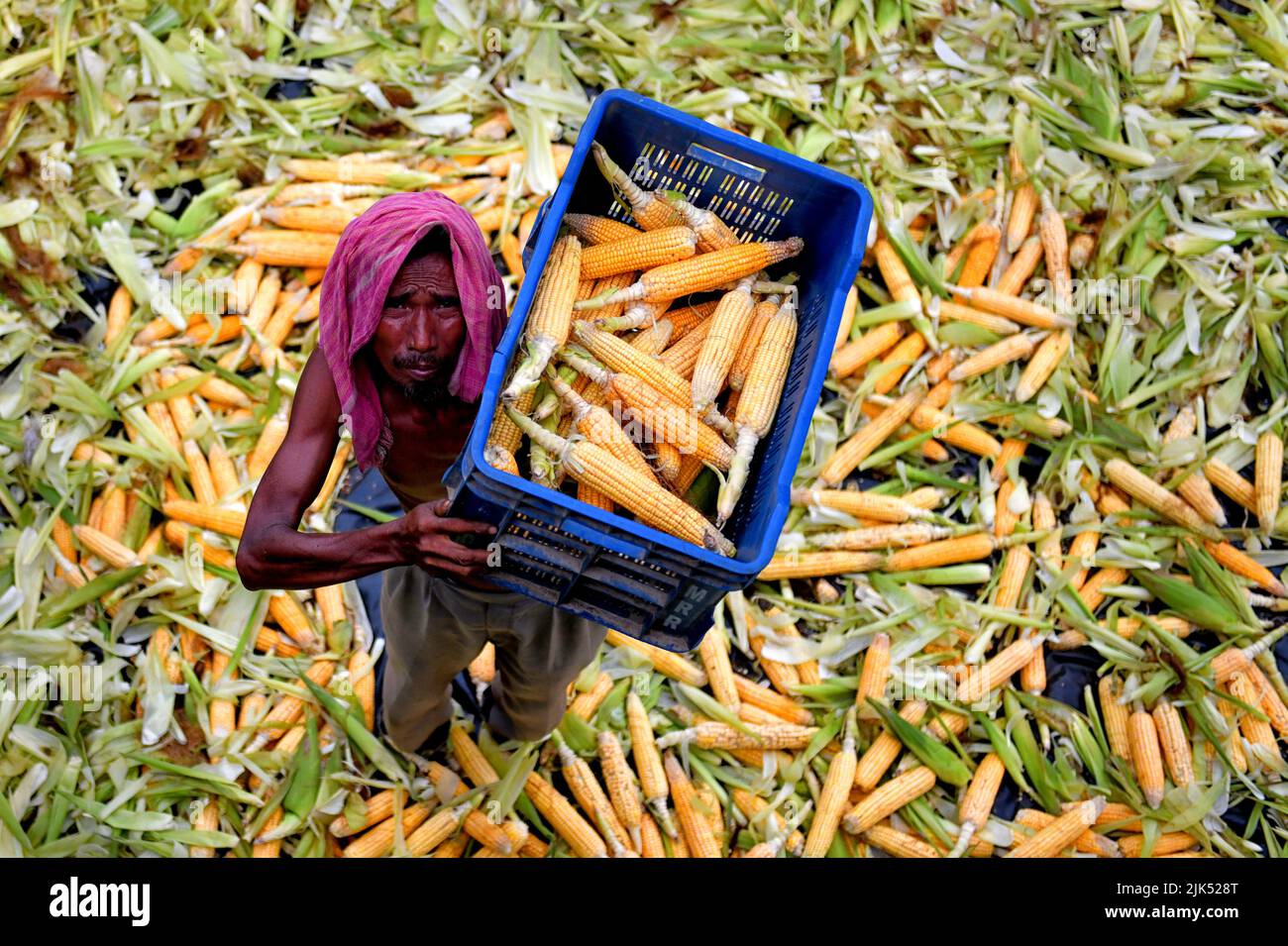 A farmer poses with a bucket of maize inside a factory premises, some ...