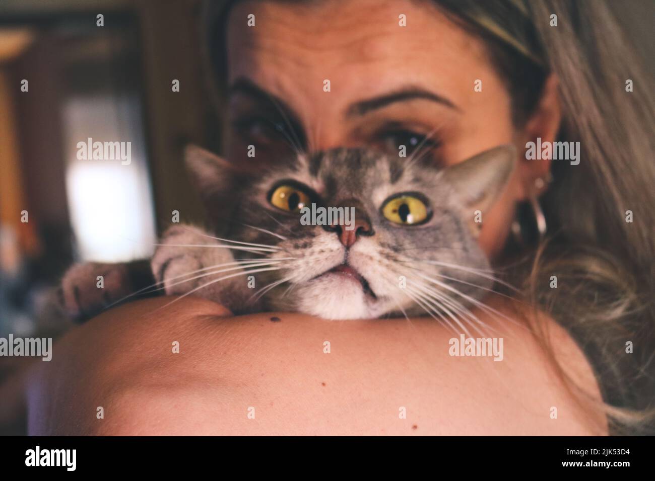 Woman and cat Stock Photo - Alamy