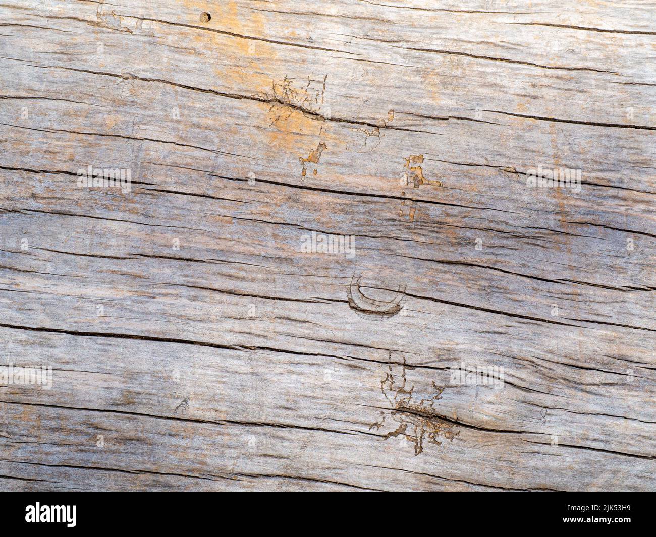 dry wood texture. Texture to use as a resource Stock Photo - Alamy