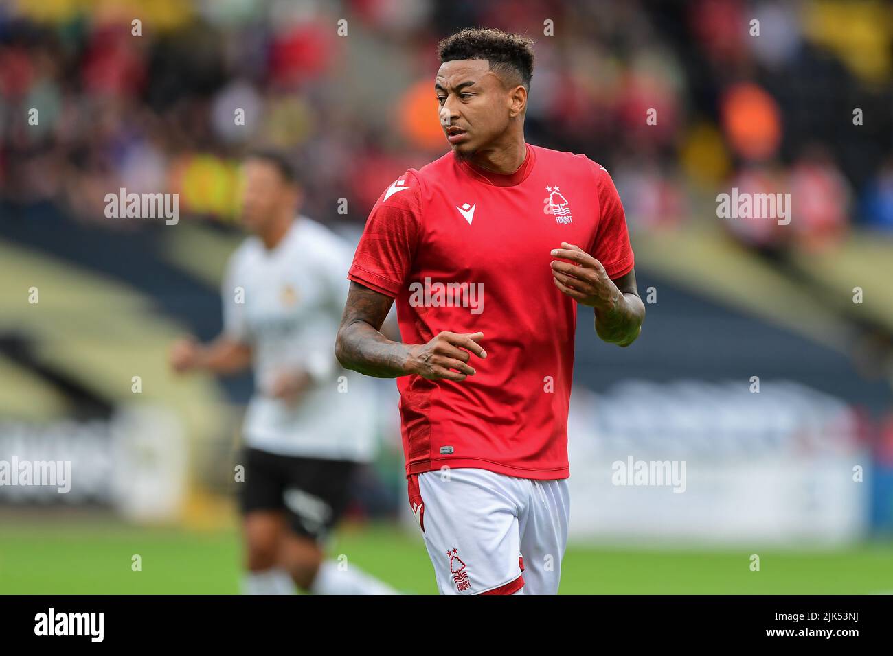 Jesse lingard forest hi-res stock photography and images - Alamy