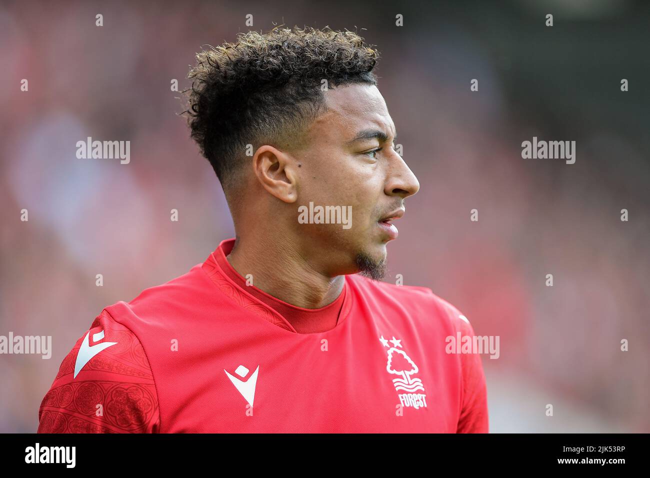 Jesse lingard forest hi-res stock photography and images - Alamy