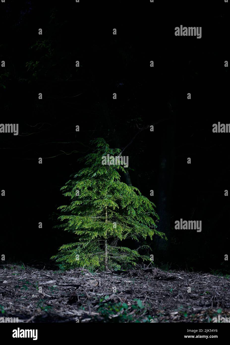 Sad environment hi-res stock photography and images - Alamy