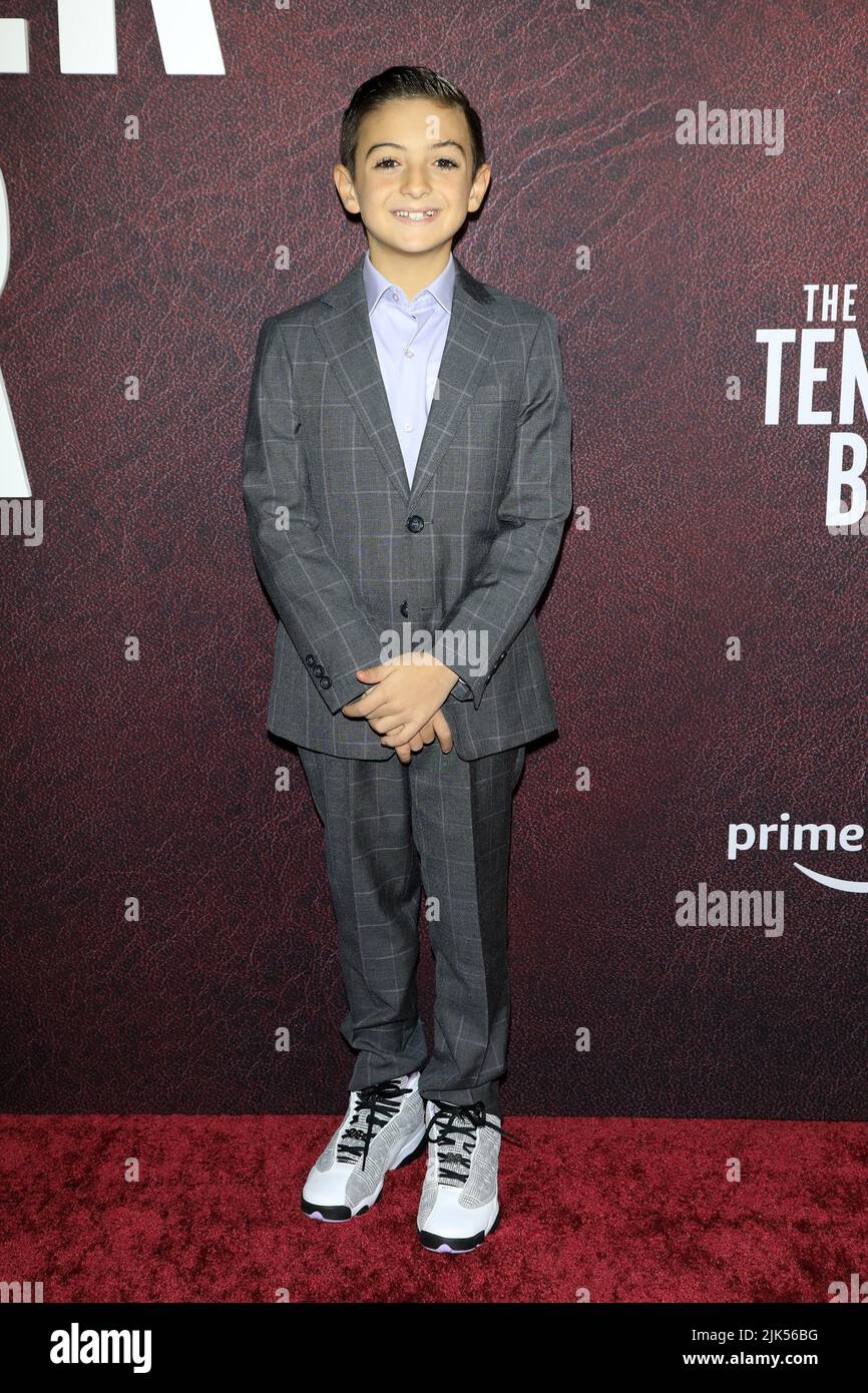 The Tender Bar Premiere at the TCL Chinese Theater IMAX on December 12 ...