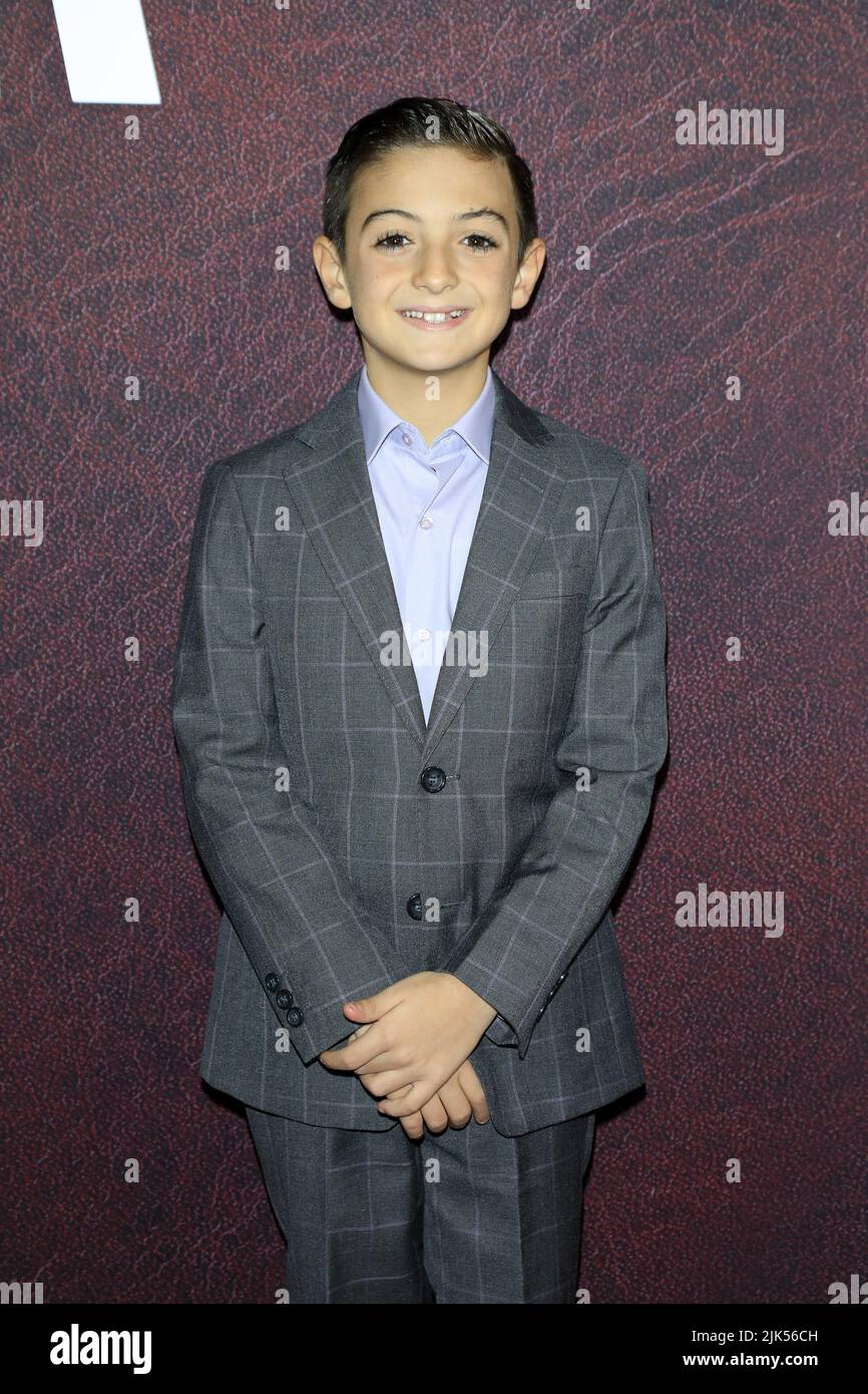 The Tender Bar Premiere at the TCL Chinese Theater IMAX on December 12 ...