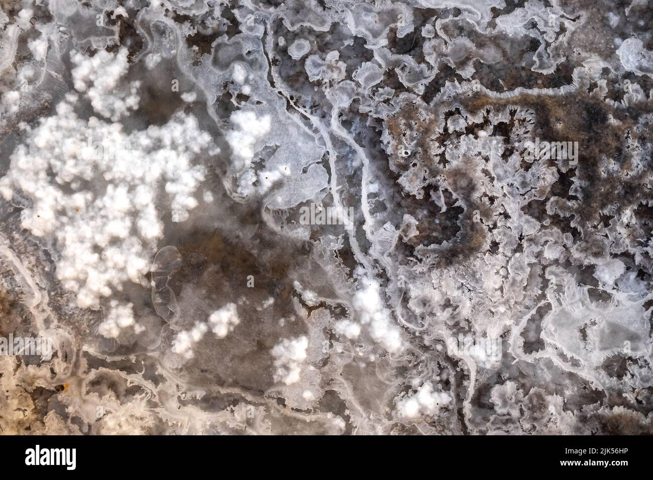 Remains of salt when seawater evaporates in rocks, a mineral rich in ...