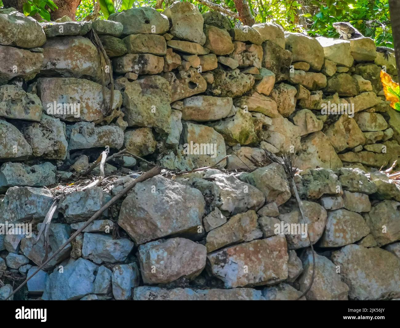 Ancient Tulum ruins Mayan site with temple ruins pyramids and artifacts ...