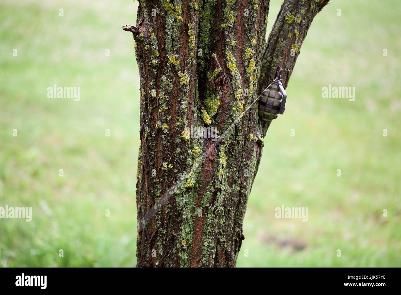 Landmine - Booby Trap IED made from hand grenade with tripwire ...