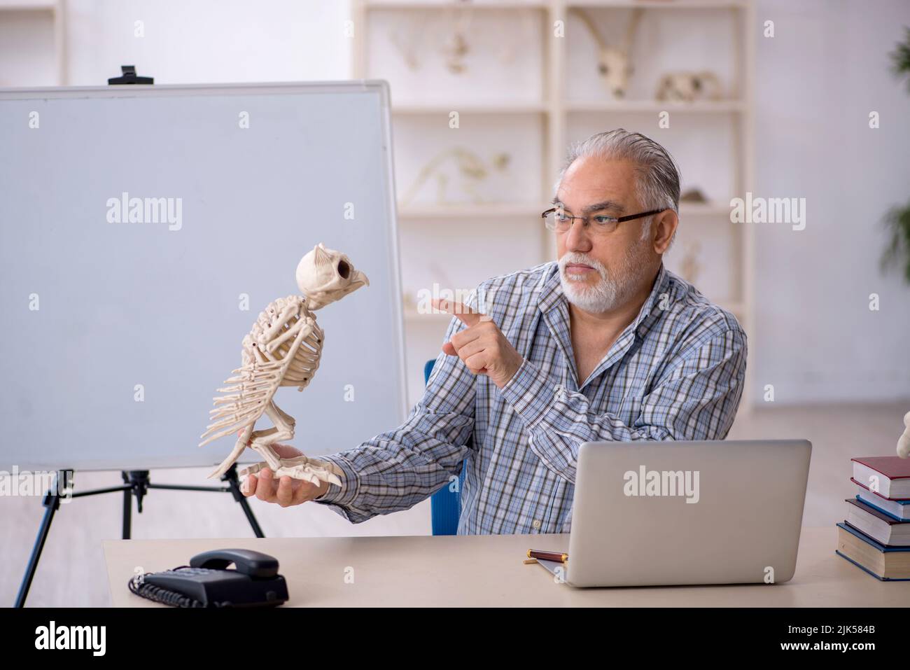 Old paleontologist examining ancient animals at lab Stock Photo - Alamy