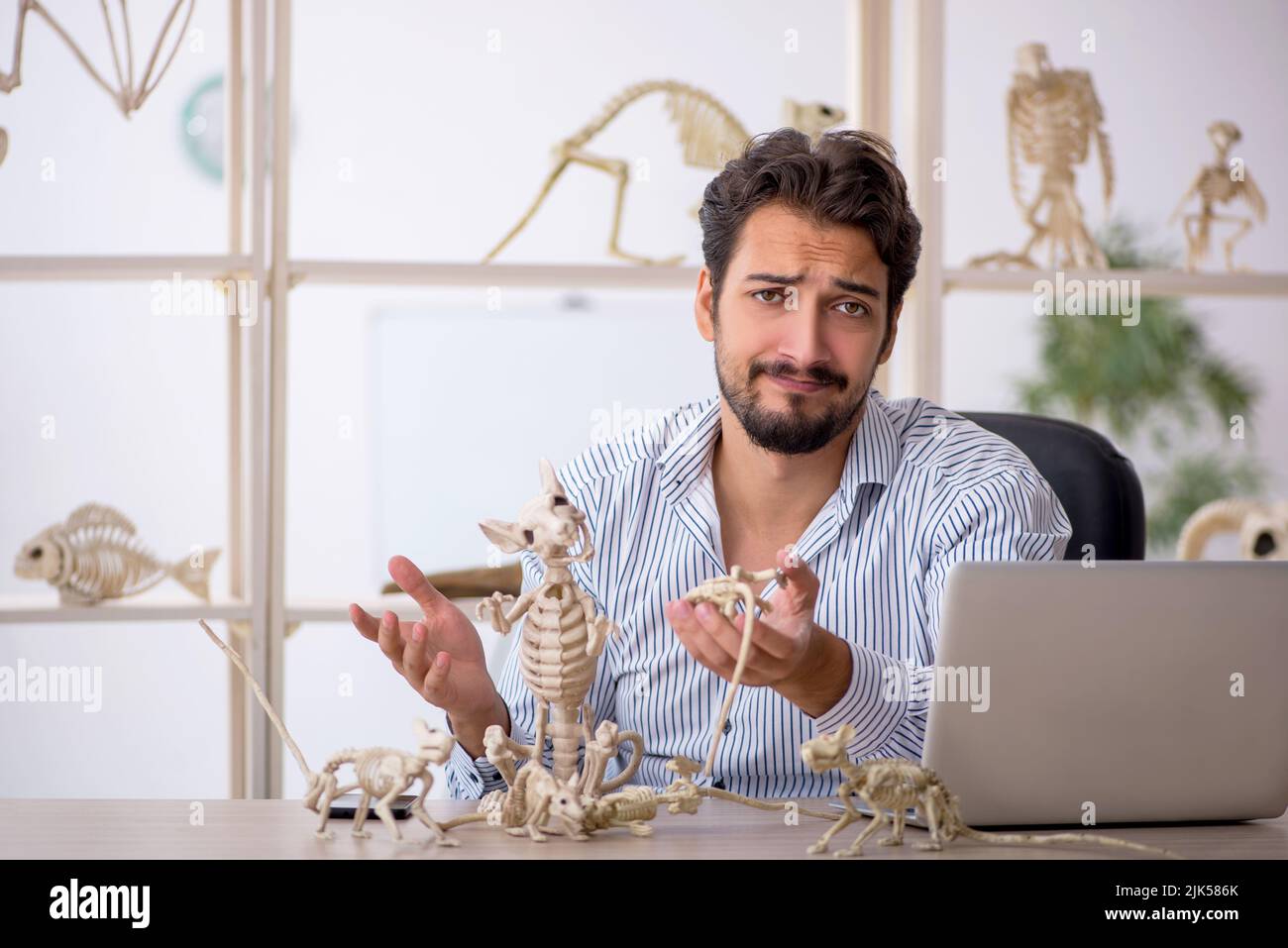 Young paleontologist examining ancient animals at lab Stock Photo - Alamy