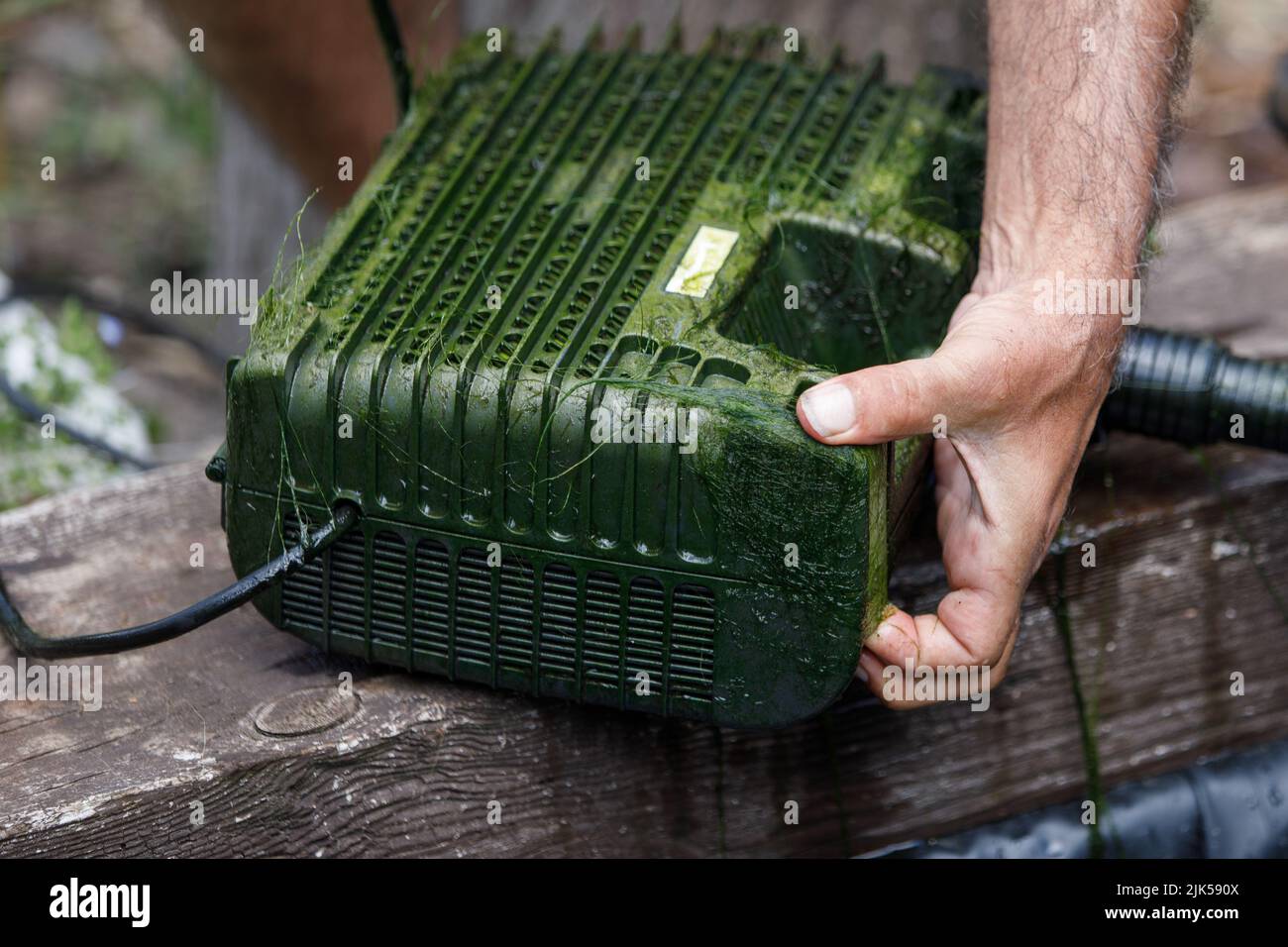 Pond pump algae hi-res stock photography and images - Alamy