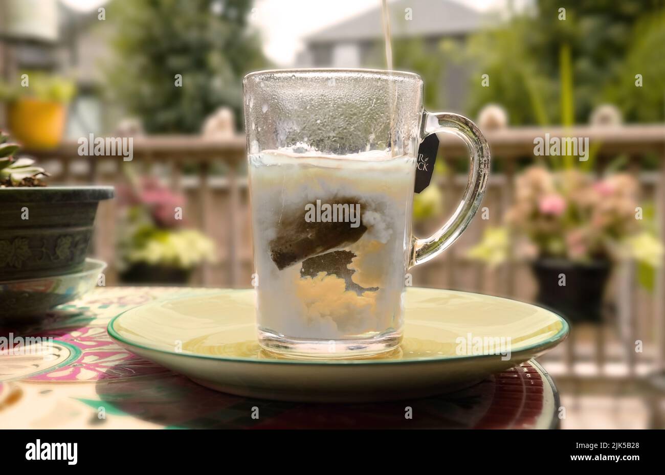 Pouring hot water in a glass cup with a tea bag. Adding some milk makes ...