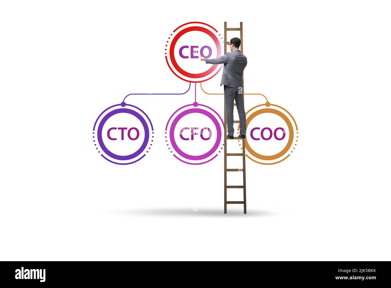 Illustration of organisation chart with the various executives Stock ...