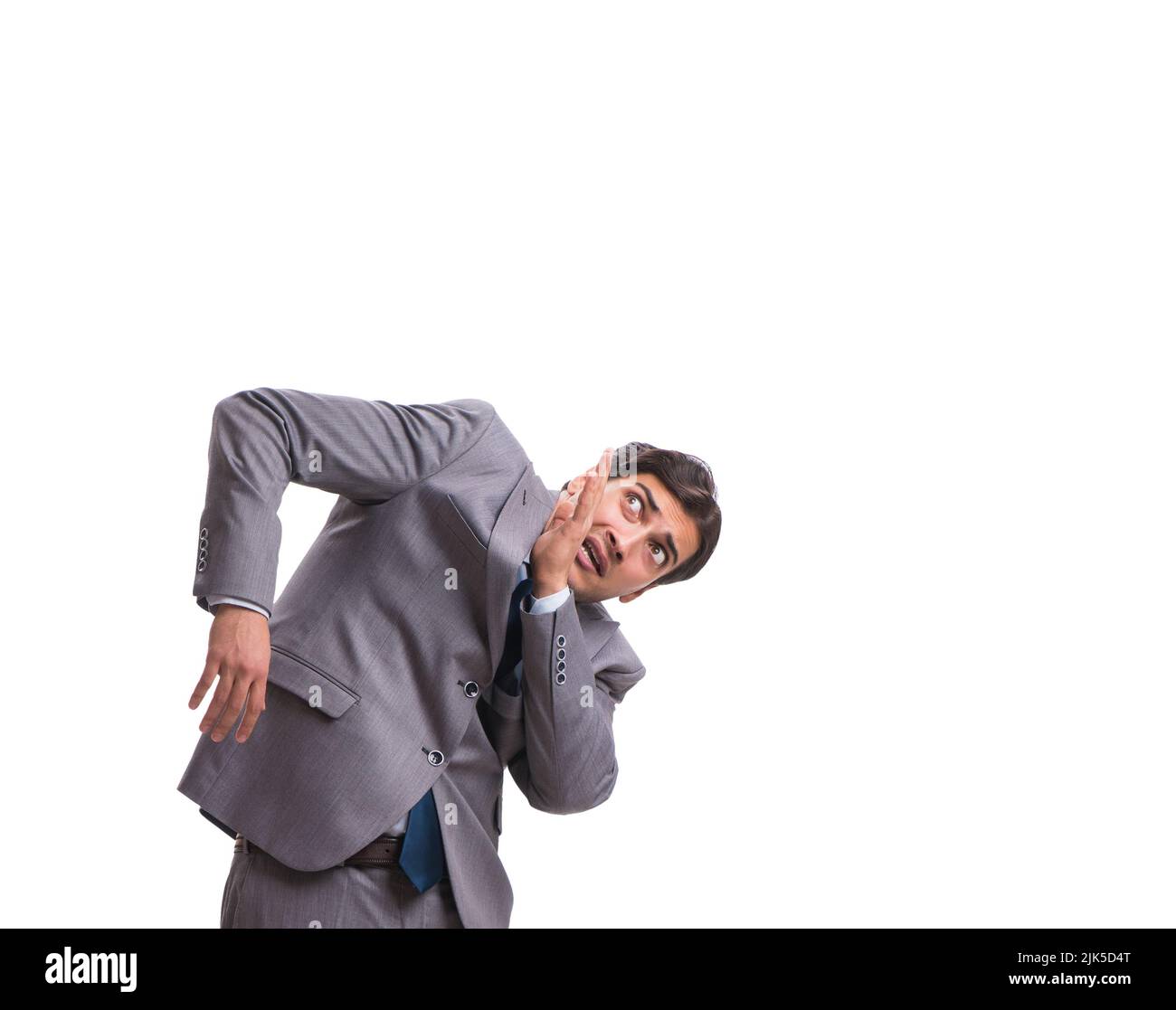 The young puppet businessman isolated on white background Stock Photo ...