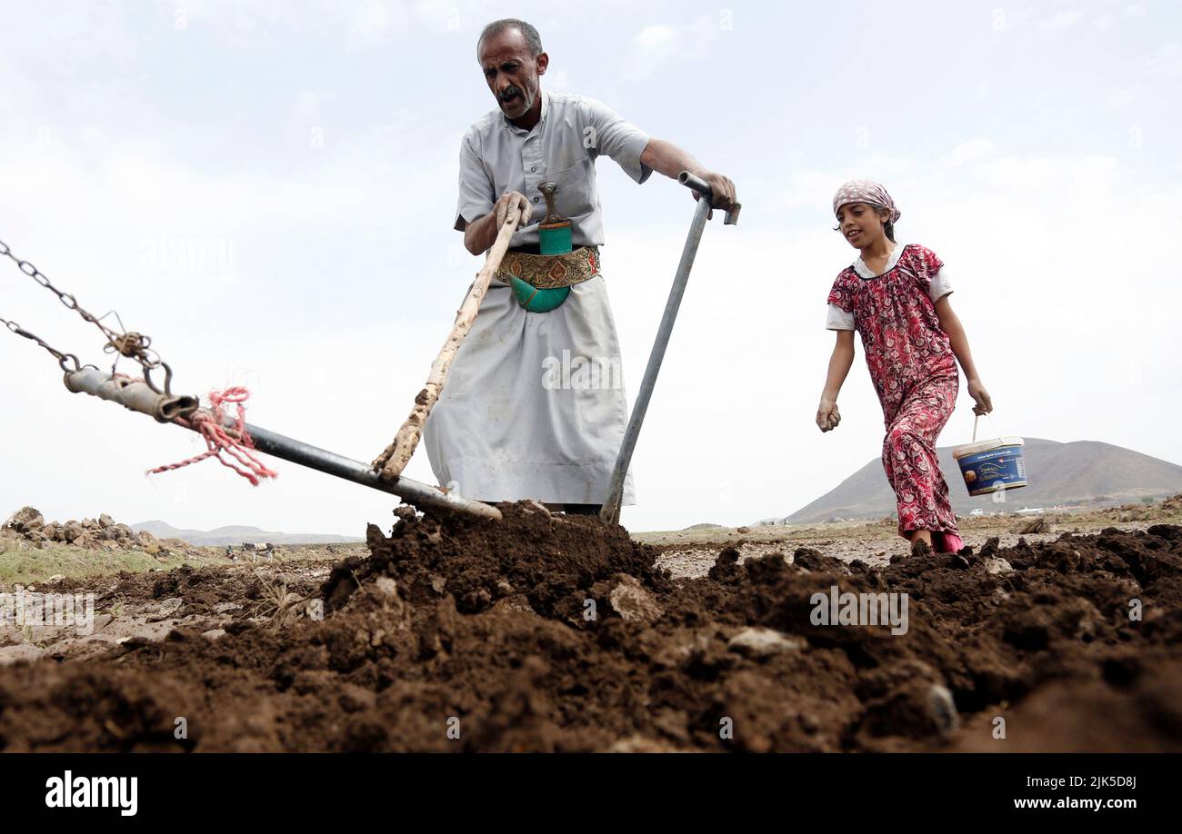 Donkey with a plow hi-res stock photography and images - Alamy