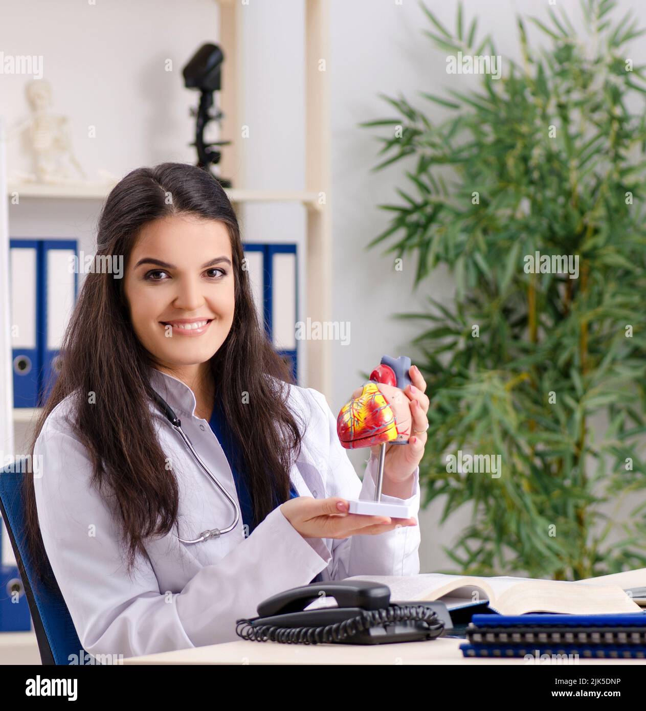 Female doctor cardiologist working in the clinic Stock Photo - Alamy