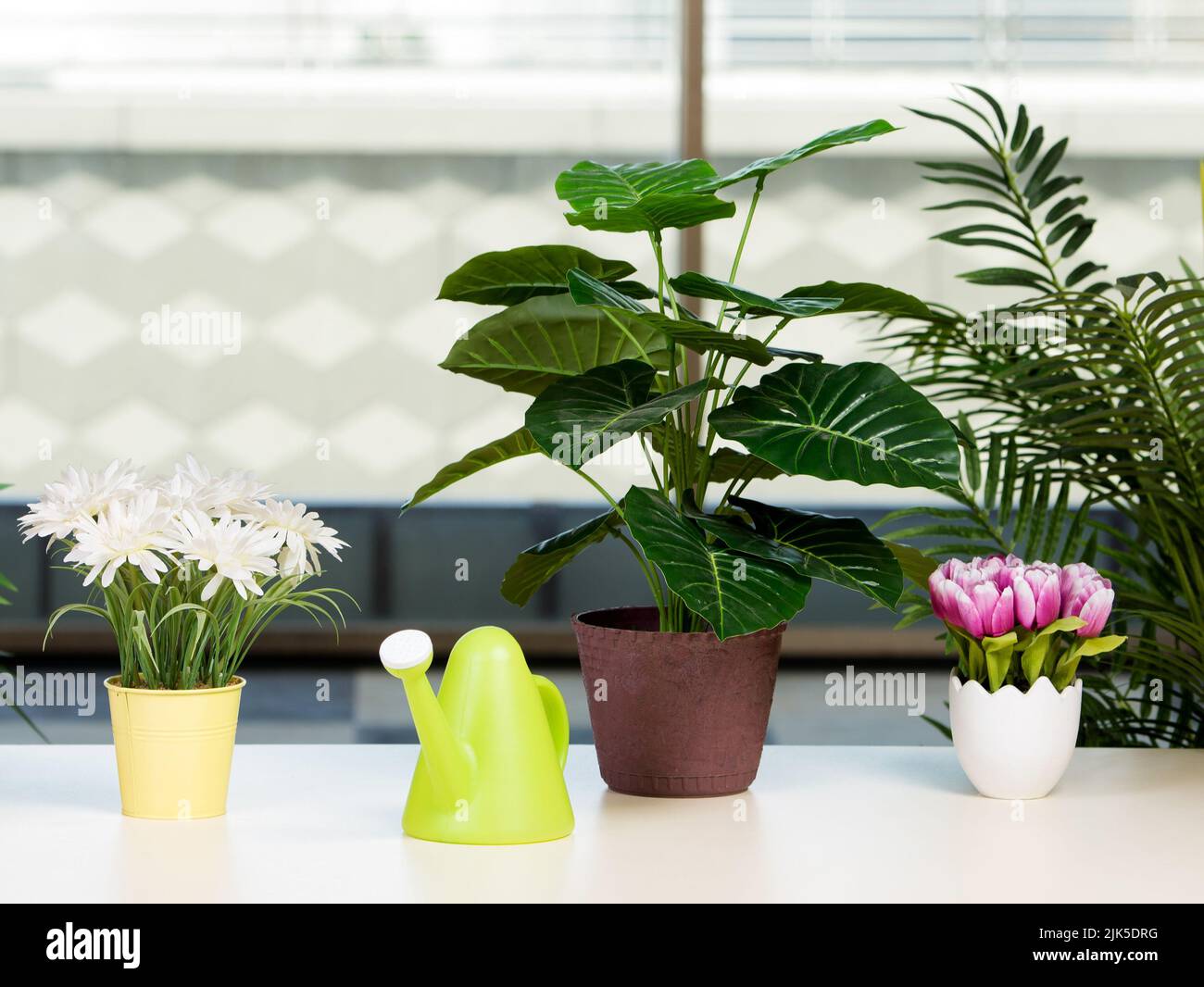The various flowers arranged in flower pots at hme Stock Photo - Alamy