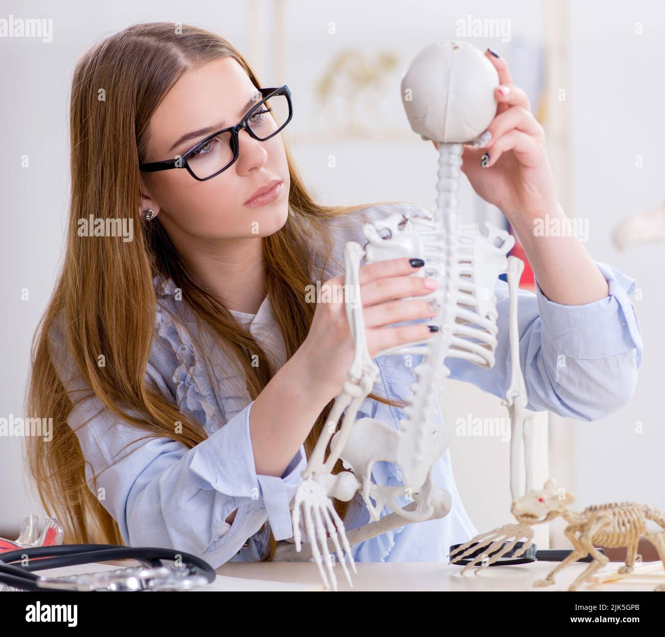 The student sitting in classroom and studying skeleton Stock Photo - Alamy