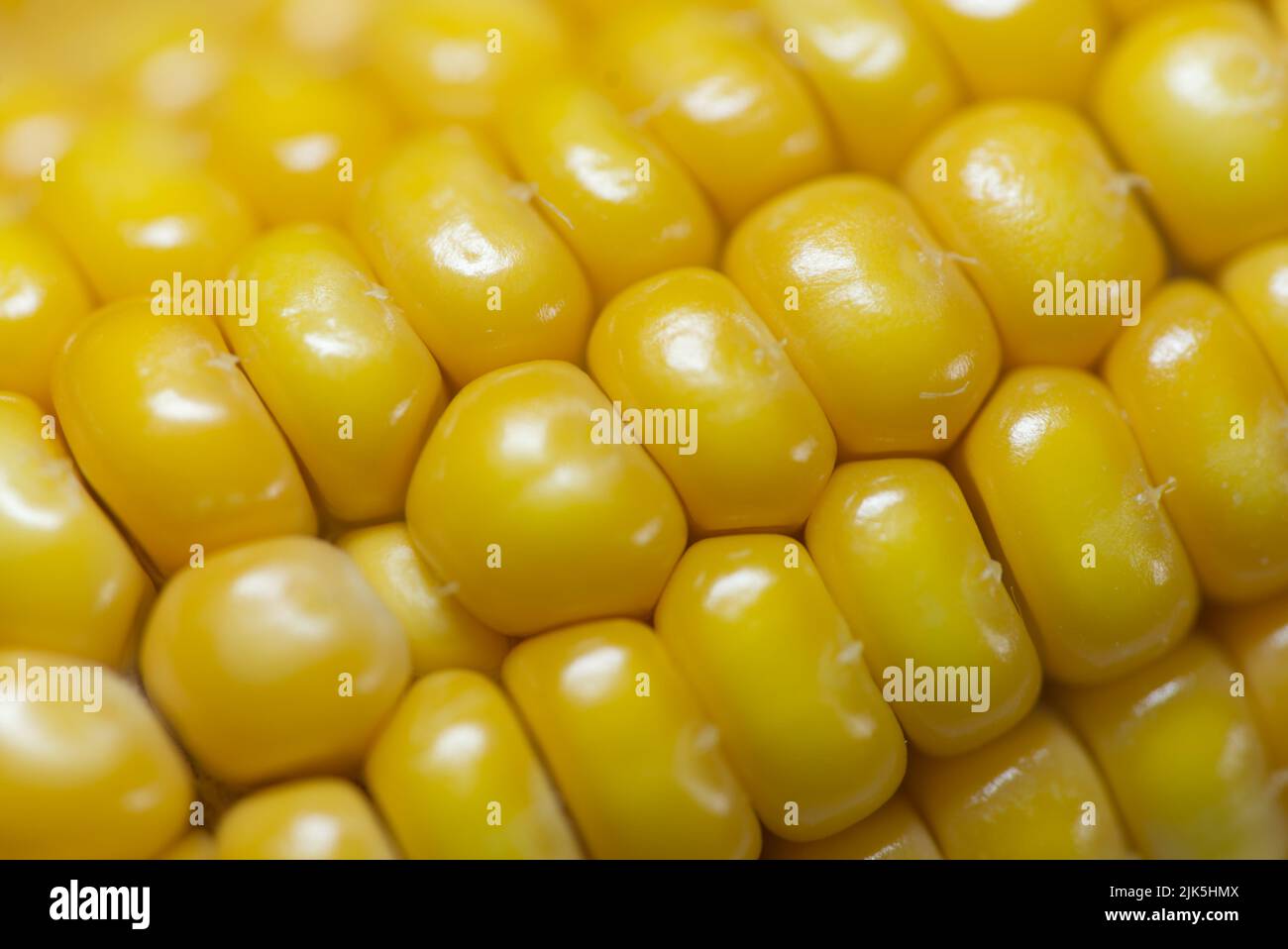 Kernels maize hi-res stock photography and images - Alamy