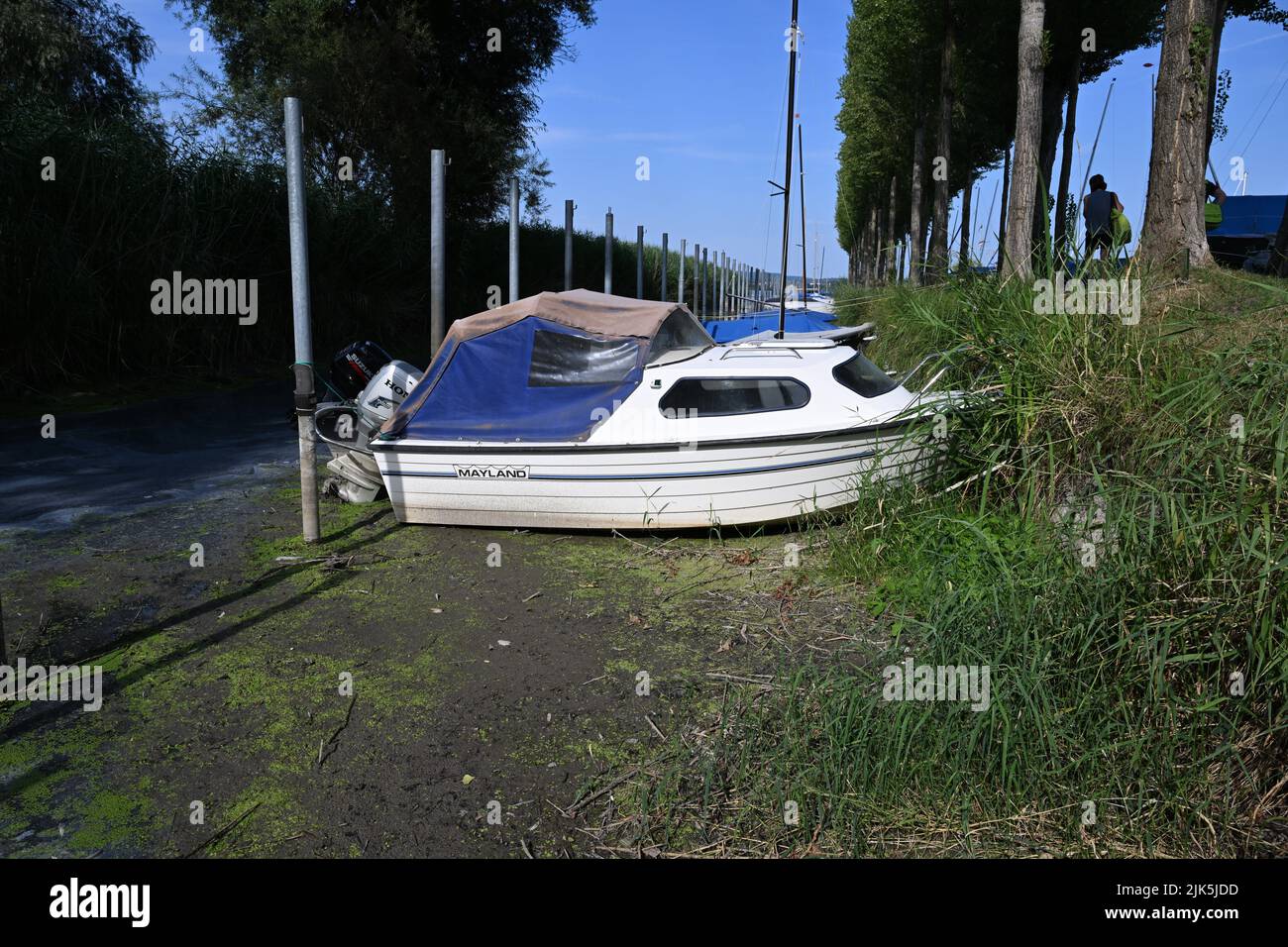 Moos am bodensee hi-res stock photography and images - Alamy