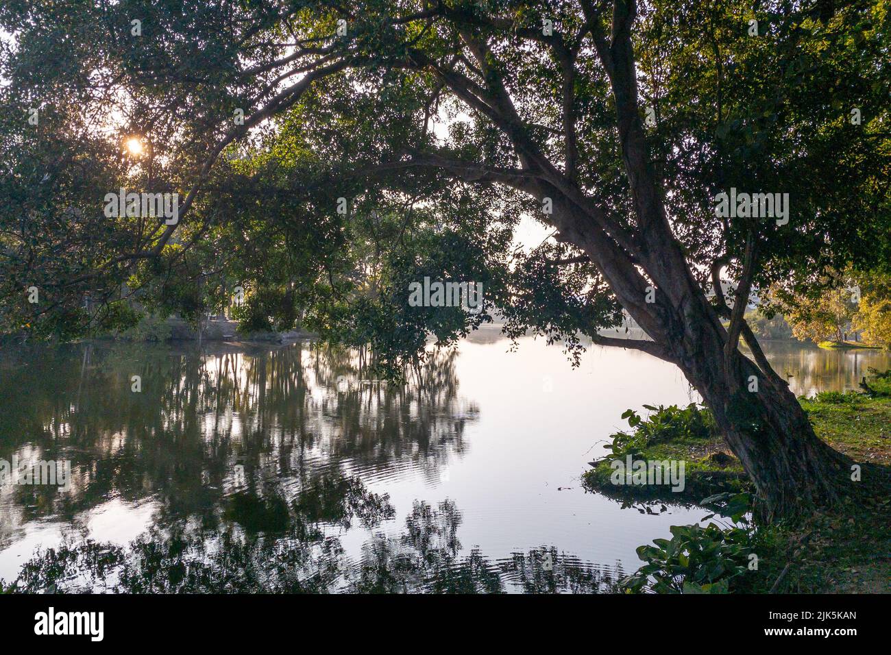 Green trees by the water hi-res stock photography and images - Alamy