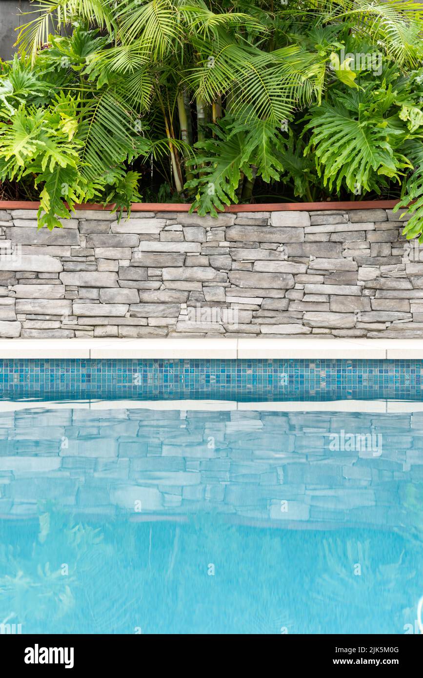 Back yard swimming pool Stock Photo - Alamy