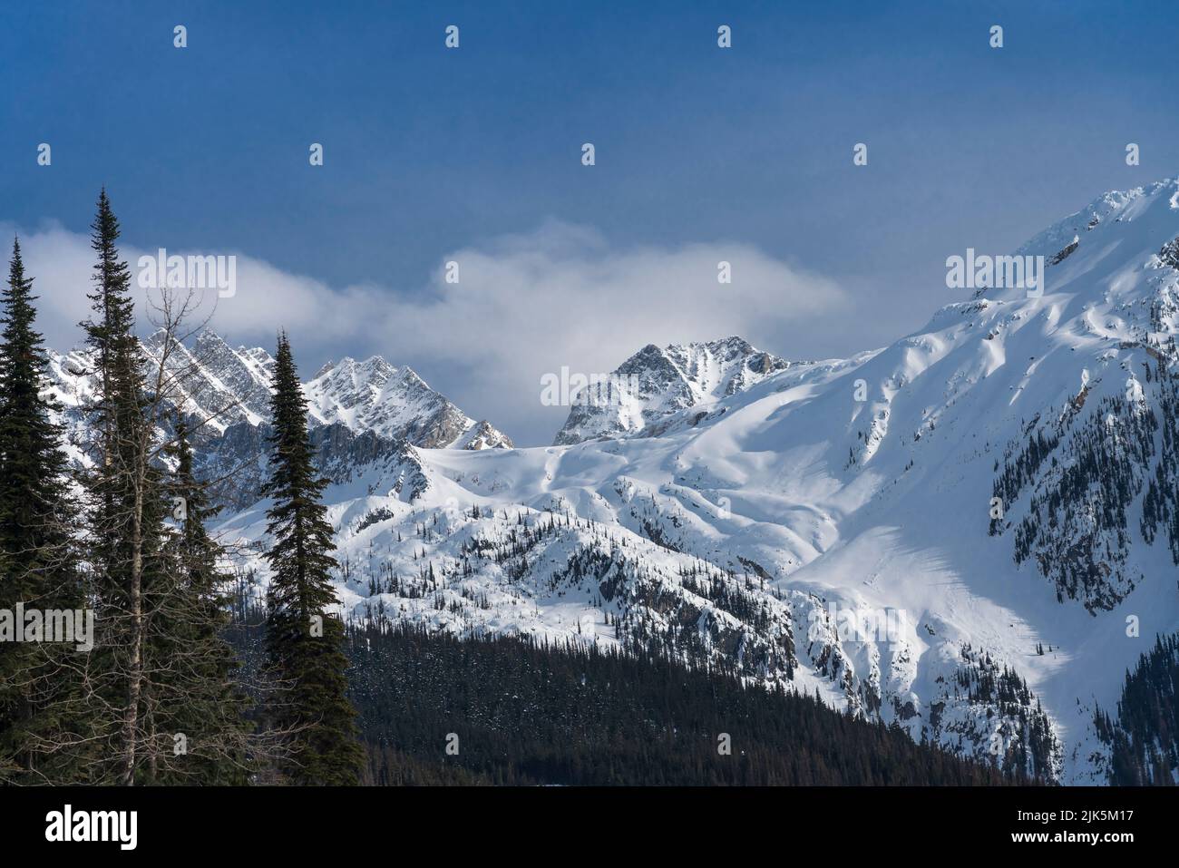 The Selkirk mountains as seen from Rogers Pass, British Columbia ...