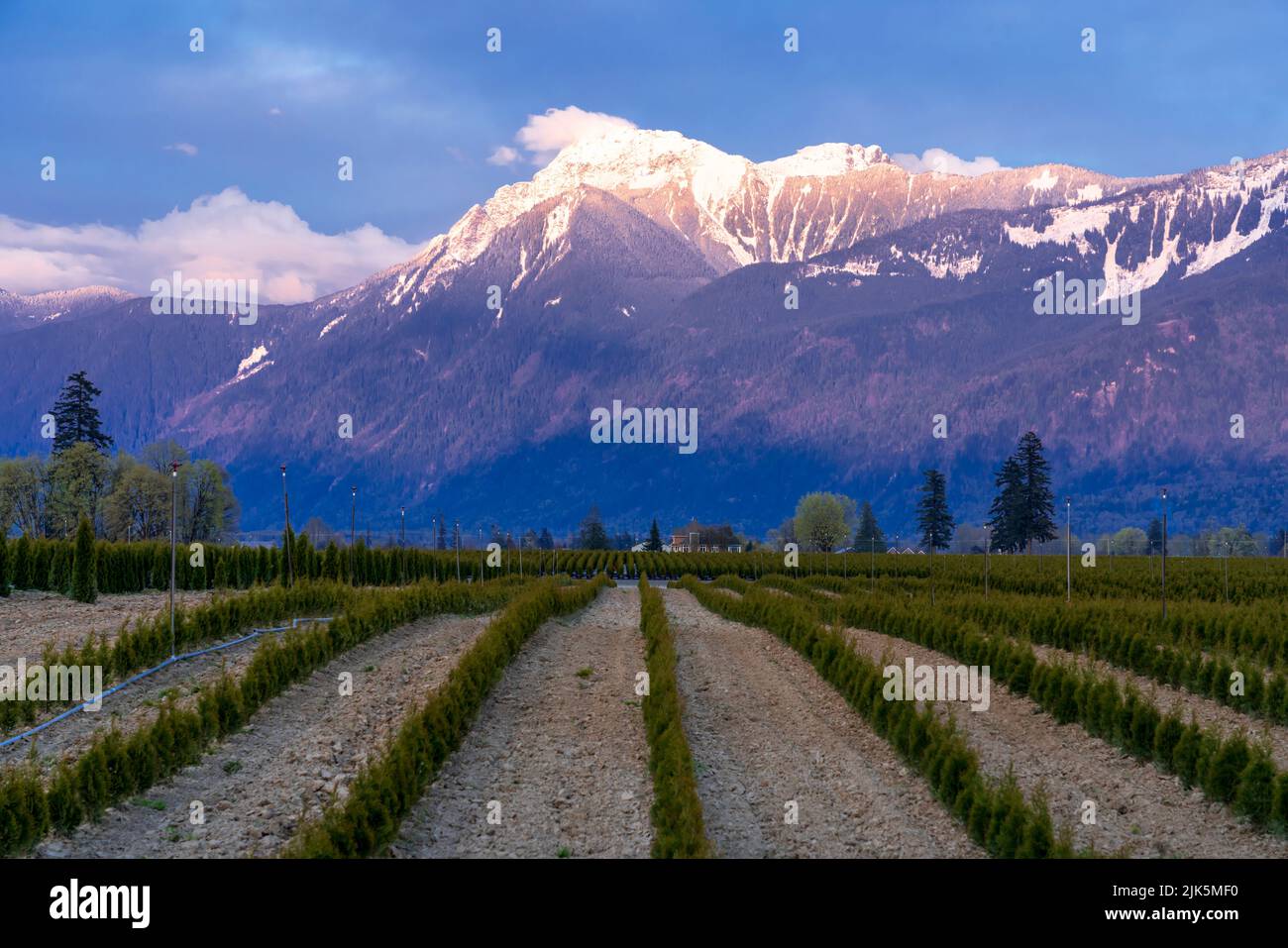 Rural landscape canada hi-res stock photography and images - Alamy