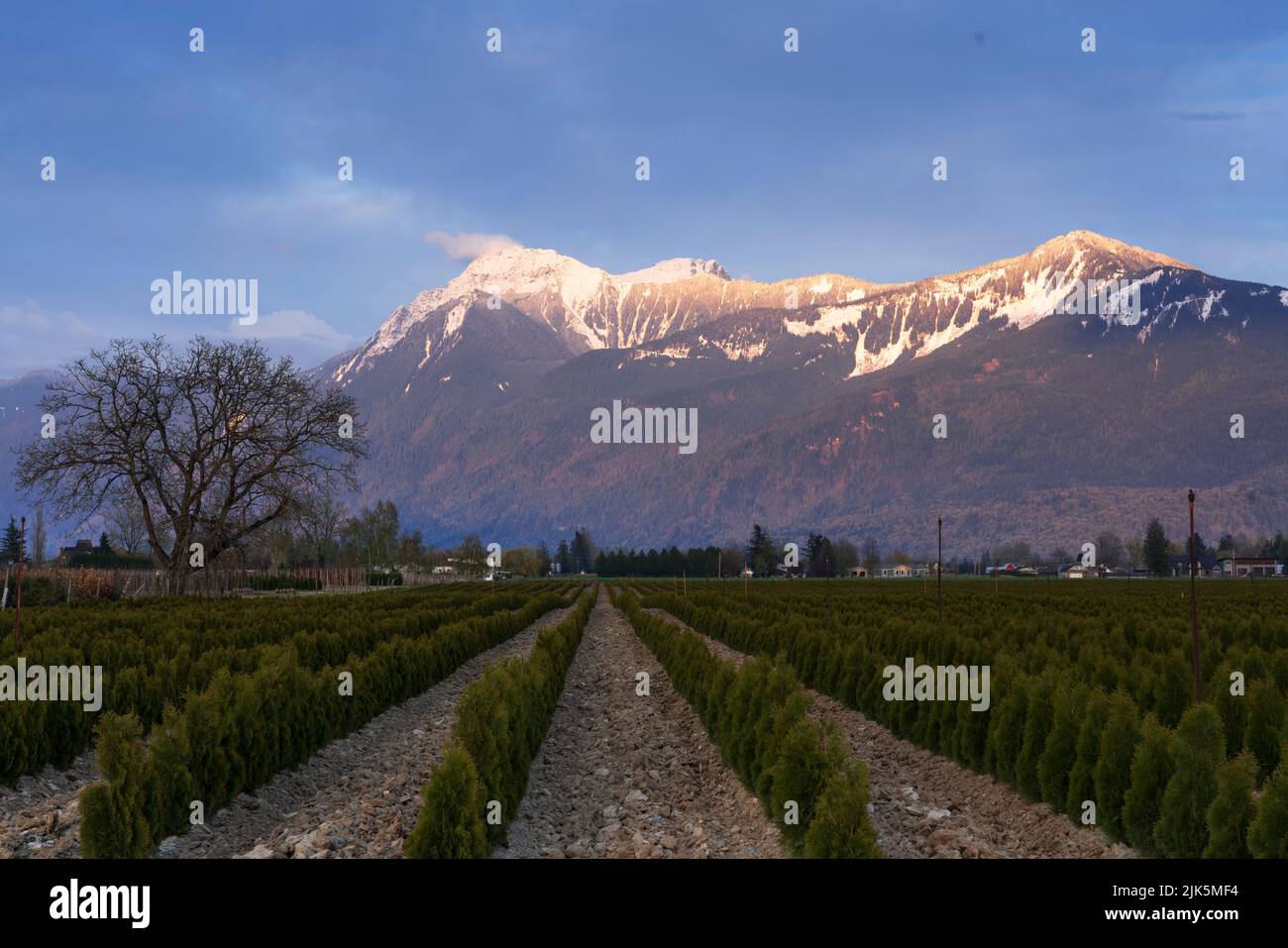 A rural farm landscape with mountains n ear Chilliwack, British ...