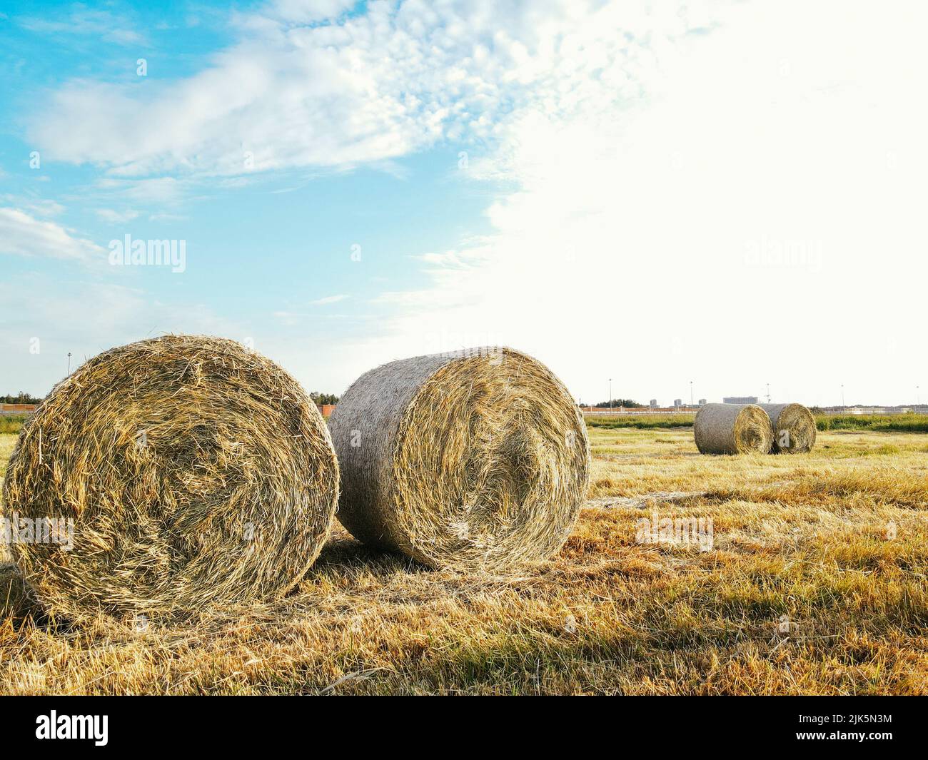 A stack of hay. Bright ripe grain field. Yellow wheat against the blue ...