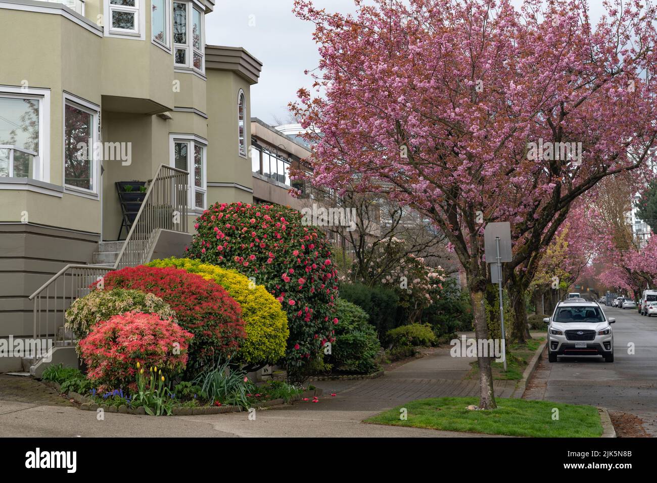 Residential street view hi-res stock photography and images - Alamy
