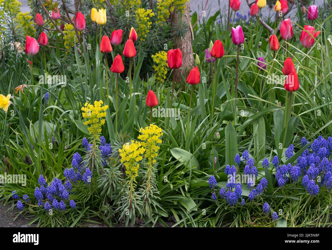 Street in vancouver spring hi-res stock photography and images - Alamy