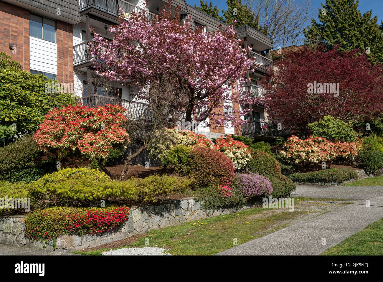 Spring gardens and landscaping in North Vancouver, British Columbia ...
