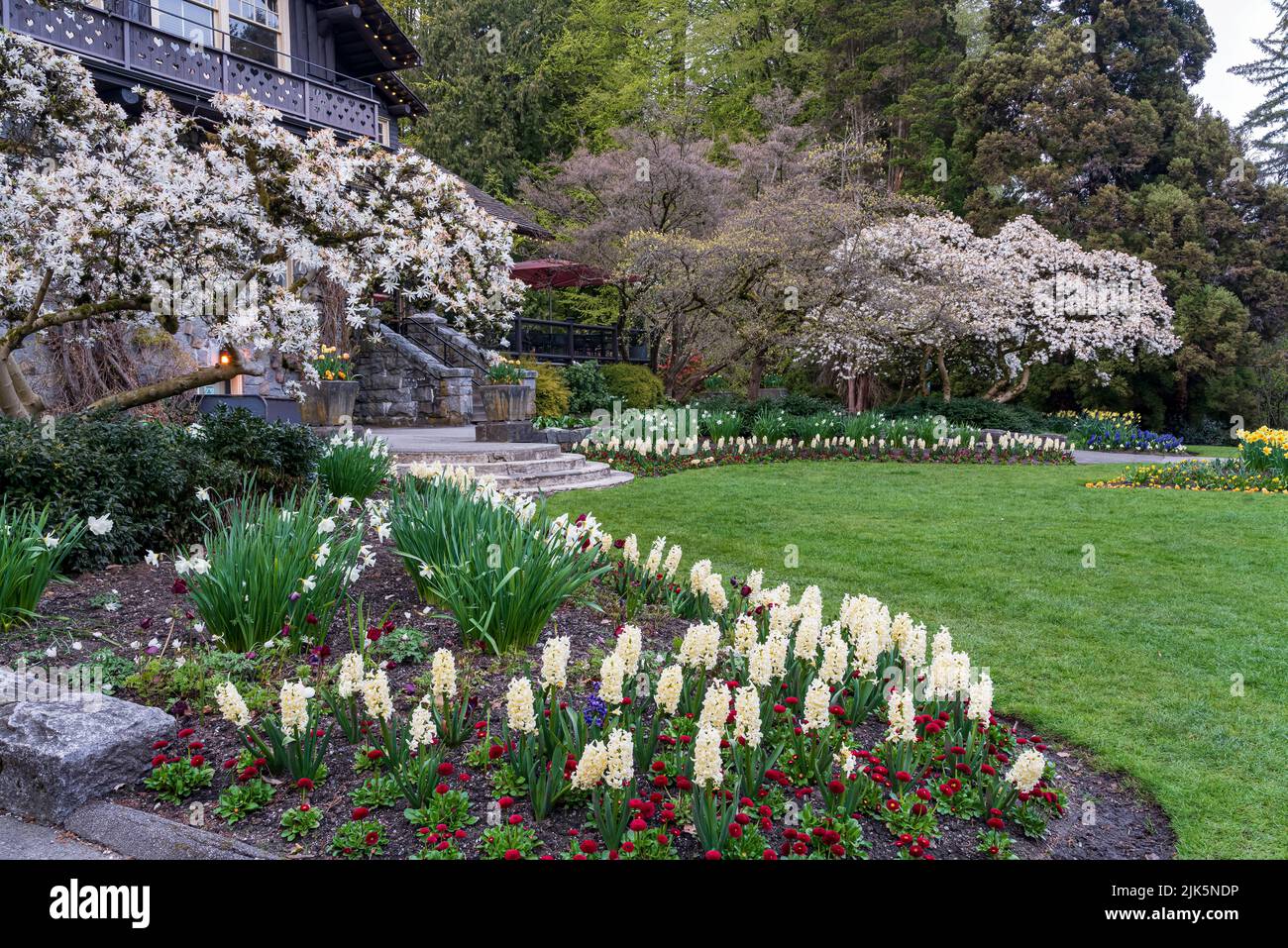 Spring flower gardens in full bloom in Stanley Park, Vancouver, British ...