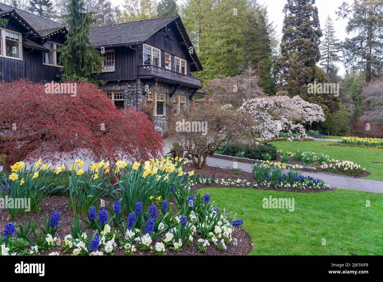 Spring flower gardens in full bloom in Stanley Park, Vancouver, British ...