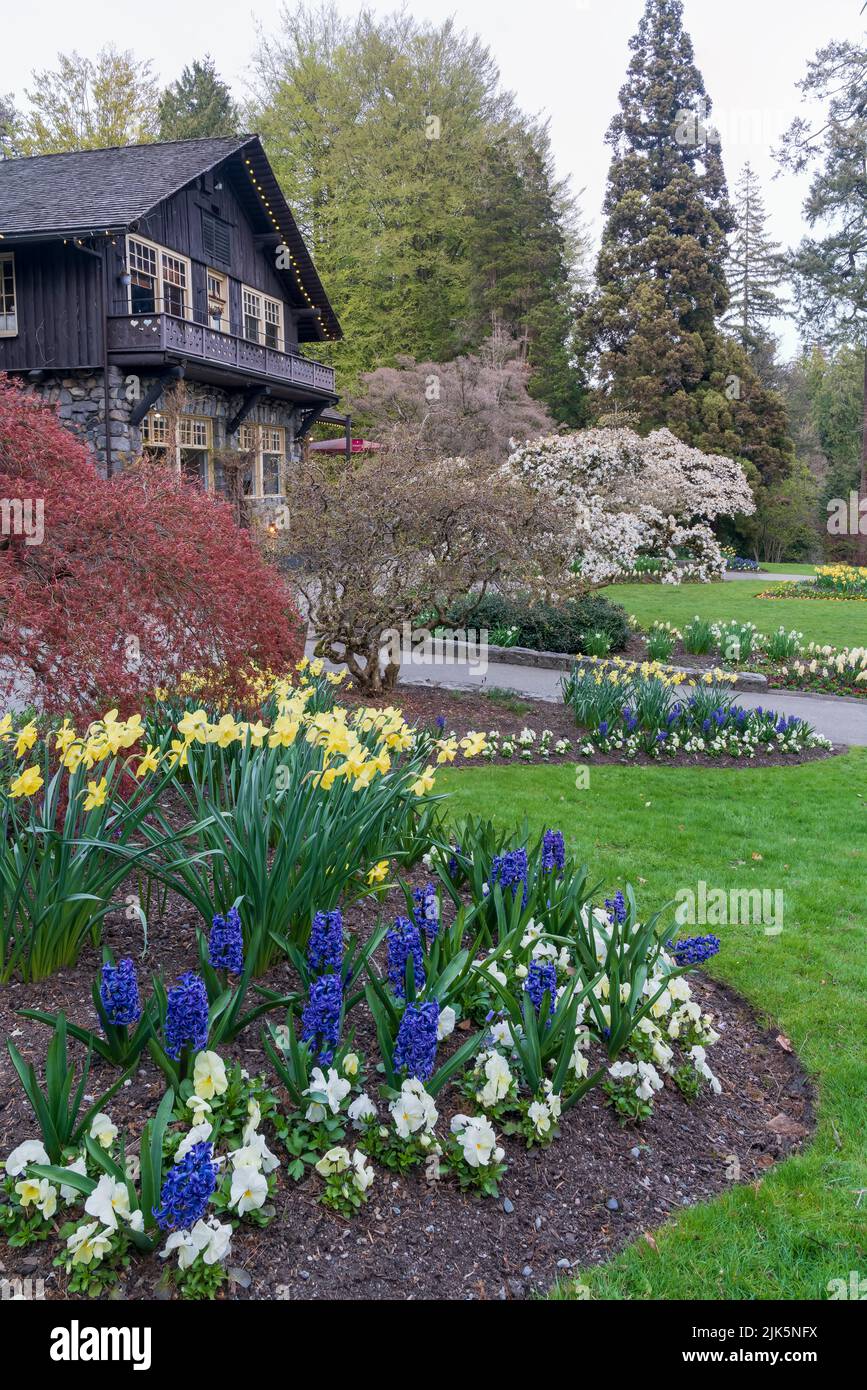 Spring flower gardens in full bloom in Stanley Park, Vancouver, British ...