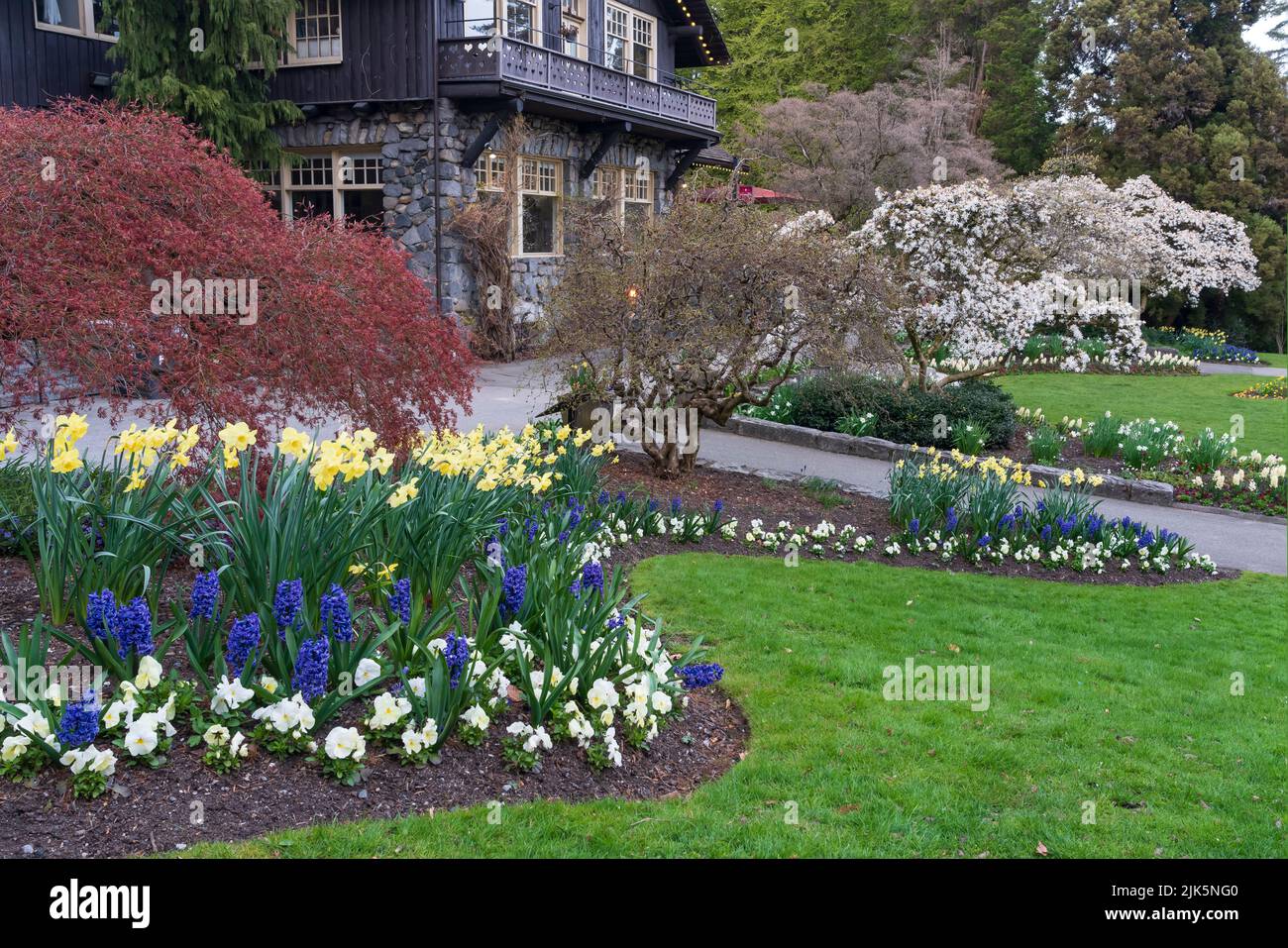 Spring flower gardens in full bloom in Stanley Park, Vancouver, British ...