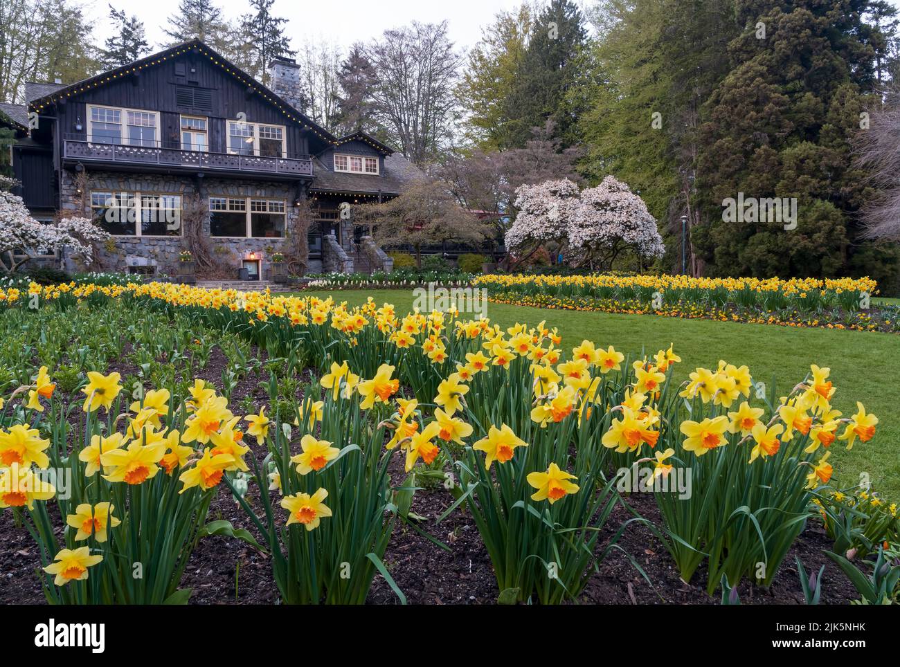 Spring flower gardens in full bloom in Stanley Park, Vancouver, British ...